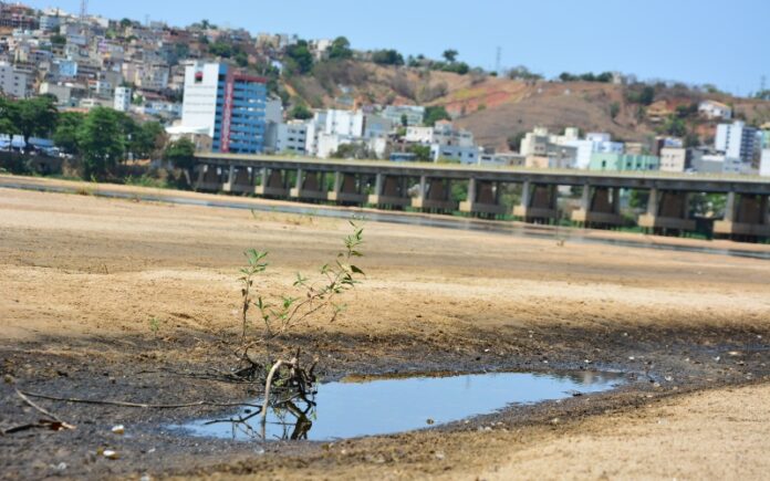Bacia do Rio Doce: água percorre 879 km com relevância econômica e ...