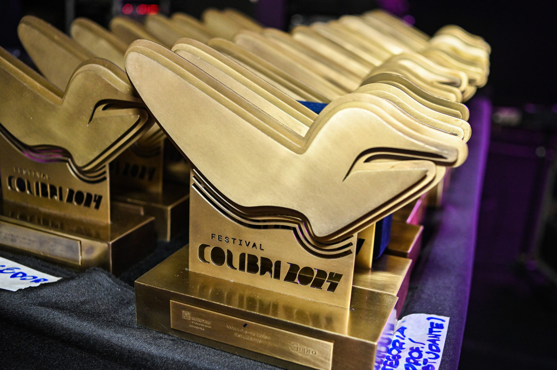 Prêmio Colibri 2024: confira os vencedores do Oscar Capixaba – ES Brasil